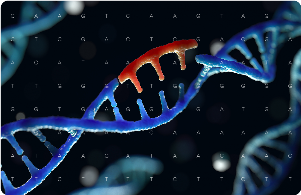 Understanding CRISPR evolution: A decade of progress, a breakthrough ...